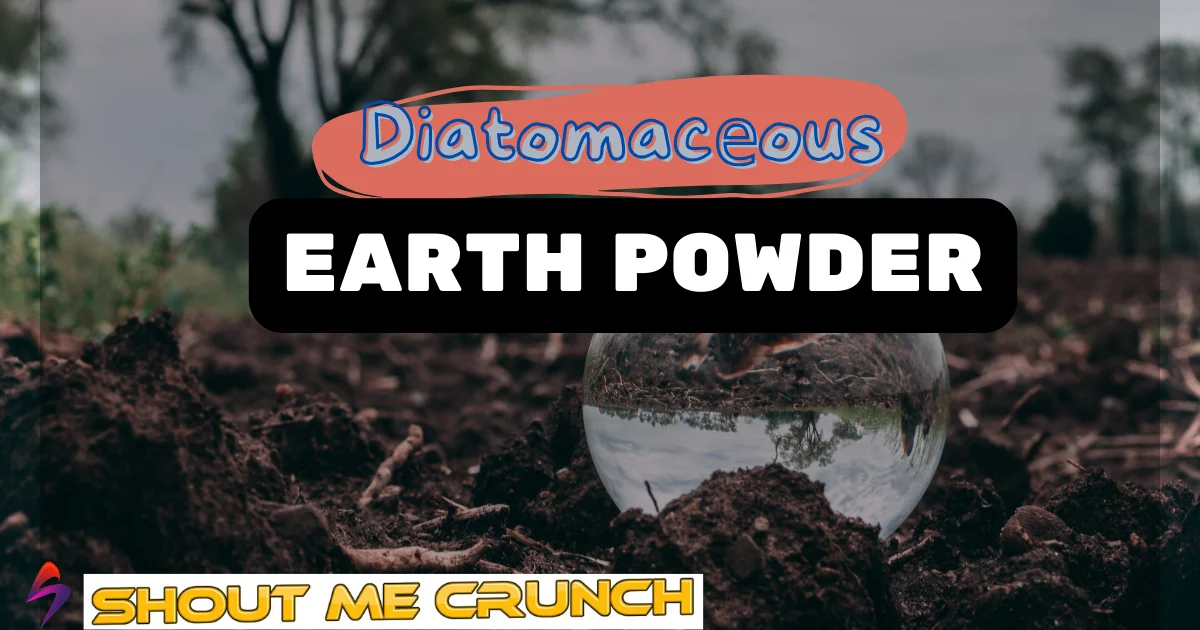 Diatomacеous Earth Powder For Effective Pest Control [2025]